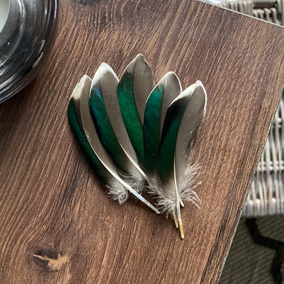 Teal Duck Feathers ethically Sourced CHECK MY SIZE Before | Etsy UK