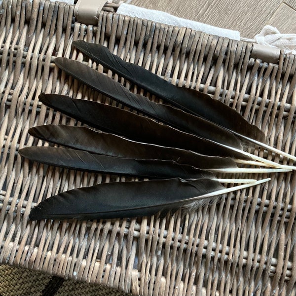 Black Crow Feather - Etsy