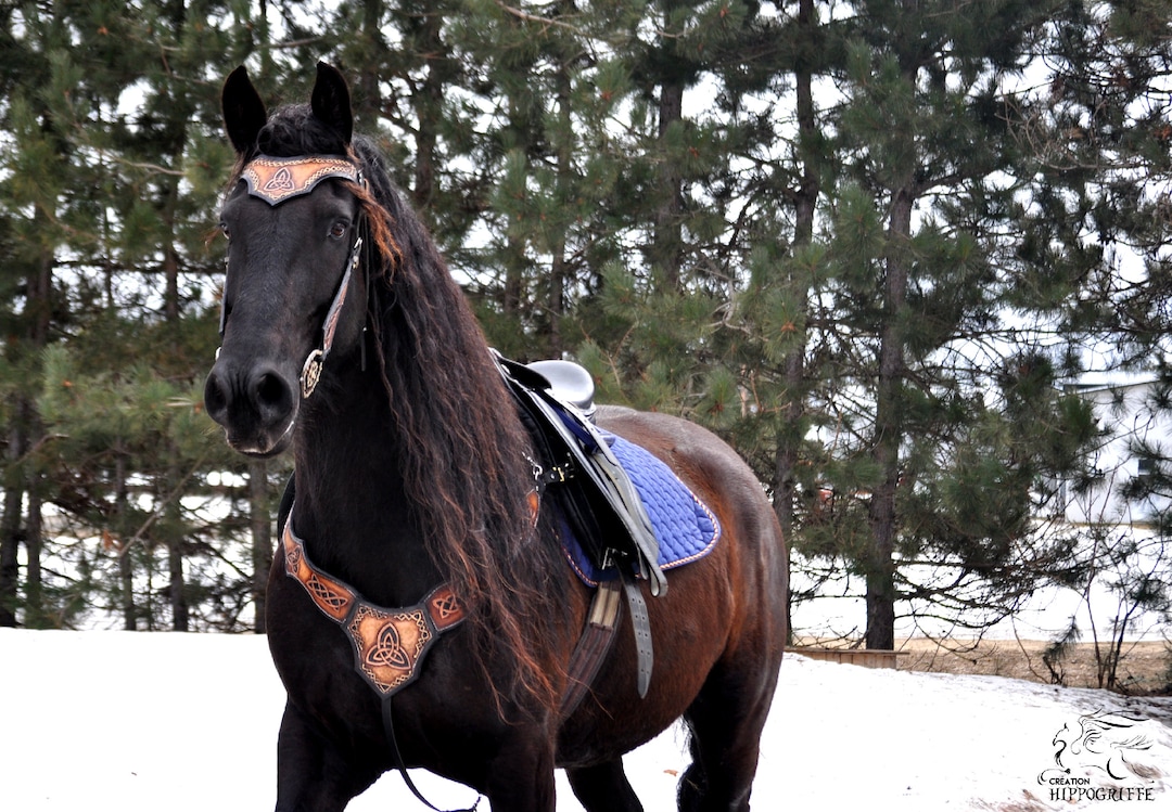 Medieval Horse Tack Wither Strap Barrel Horse Handcrafted Celtic - Etsy