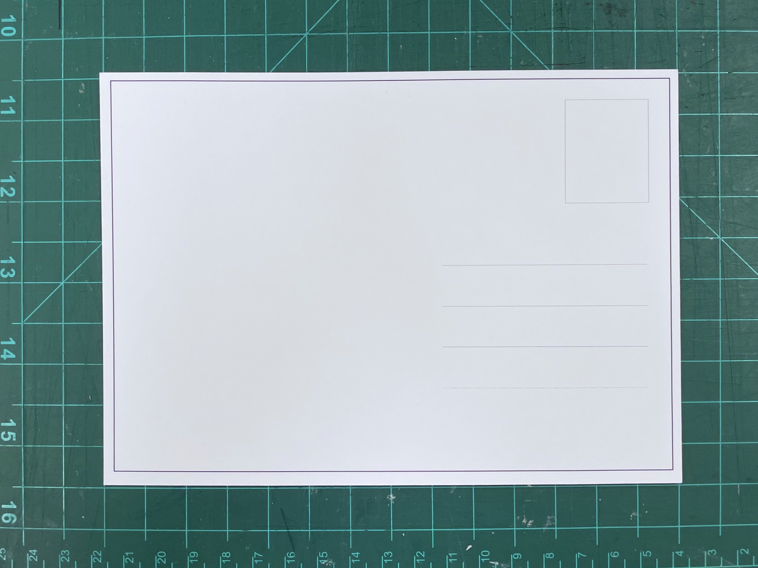 Great Egret Oversized Postcard - Etsy