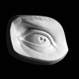 Plaster Cast of Michelangelo's David, Eye Sculpture. Male Sculpture ...