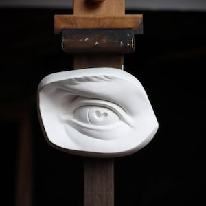 Plaster Cast of Michelangelo's David, Eye Sculpture. Male Sculpture ...