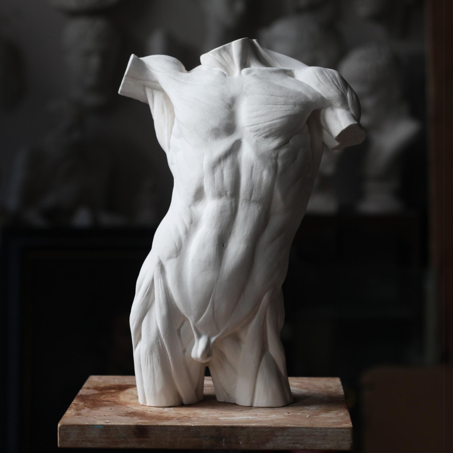 Écorché Male Torso, Plaster Figure Sculpture, Anatomical Drawing Cast ...