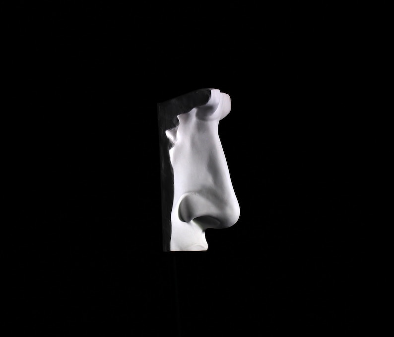 Plaster Cast of Michelangelo's David's Nose, Handmade Plaster Wall ...