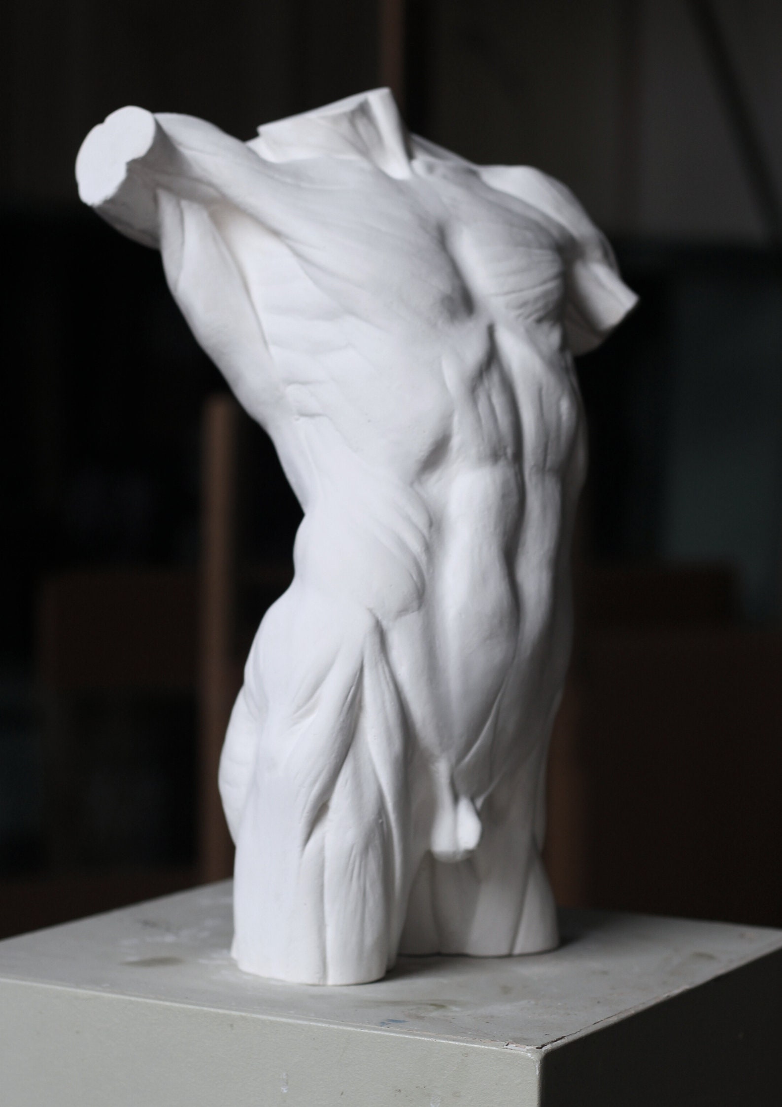 Écorché Male Torso, Plaster Figure Sculpture, Anatomical Drawing Cast ...