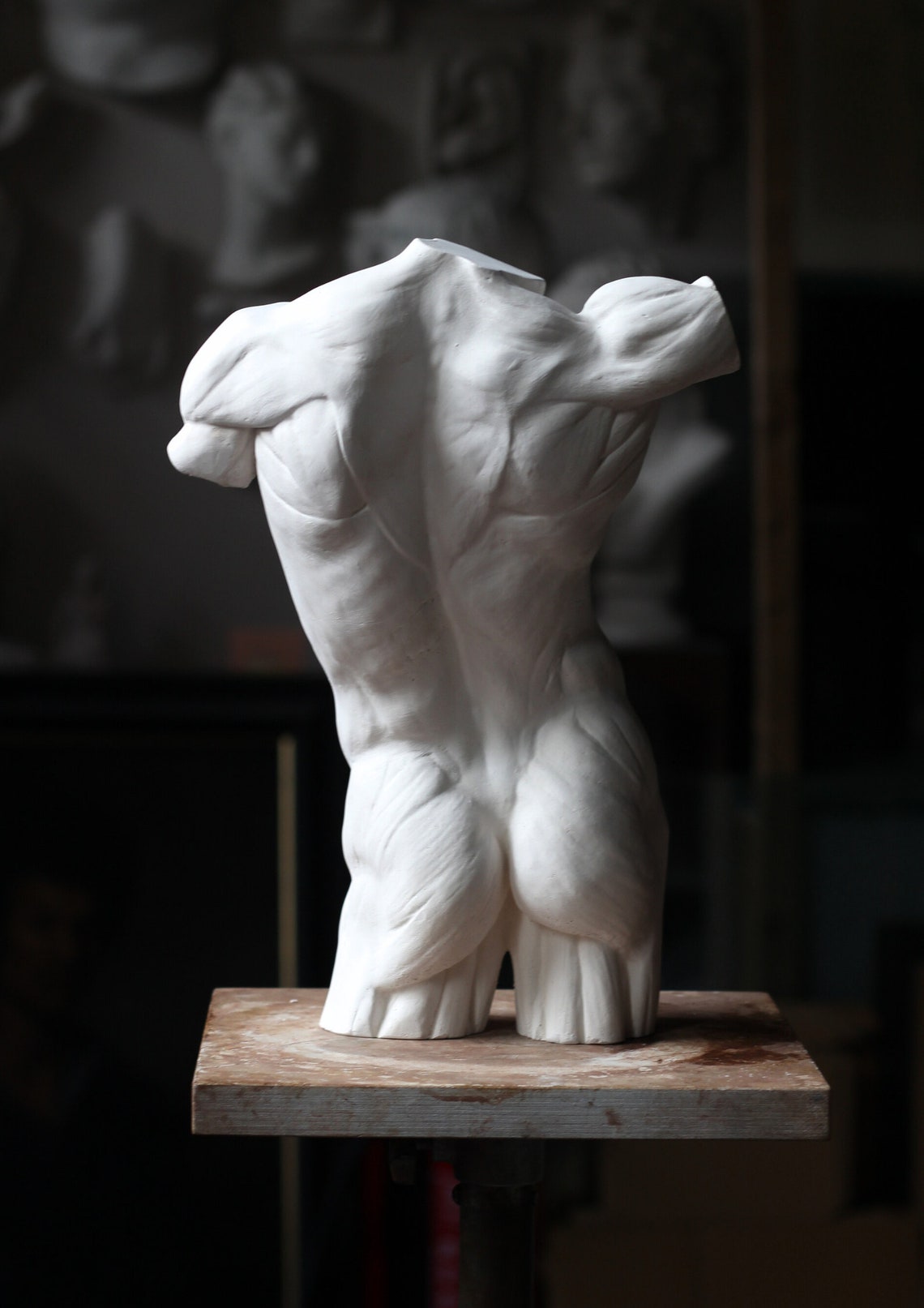 Écorché Male Torso, Plaster Figure Sculpture, Anatomical Drawing Cast ...