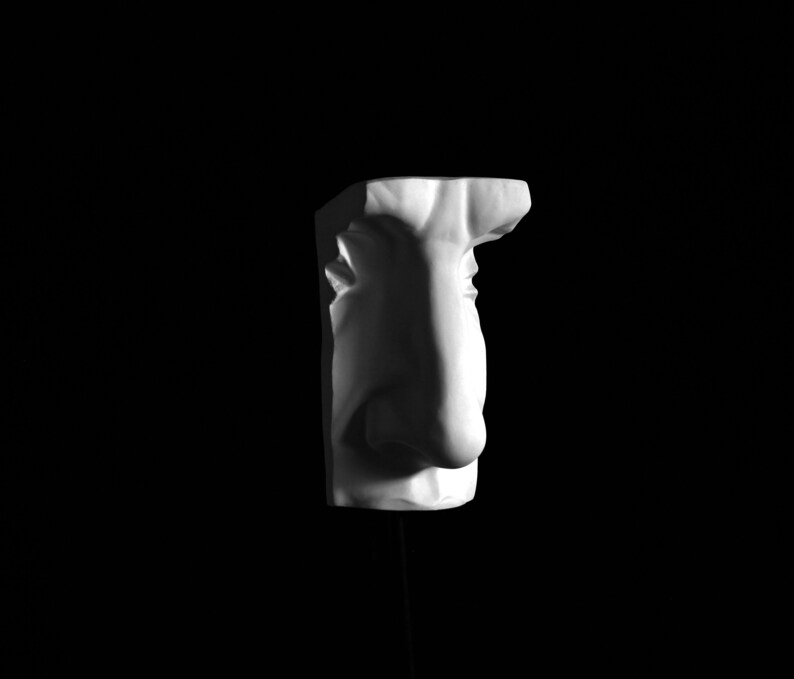 Plaster Cast of Michelangelo's David's Nose, Handmade Plaster Wall ...