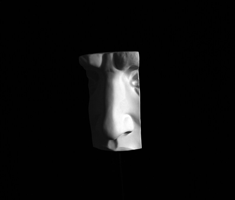 Plaster Cast of Michelangelo's David's Nose, Handmade Plaster Wall ...