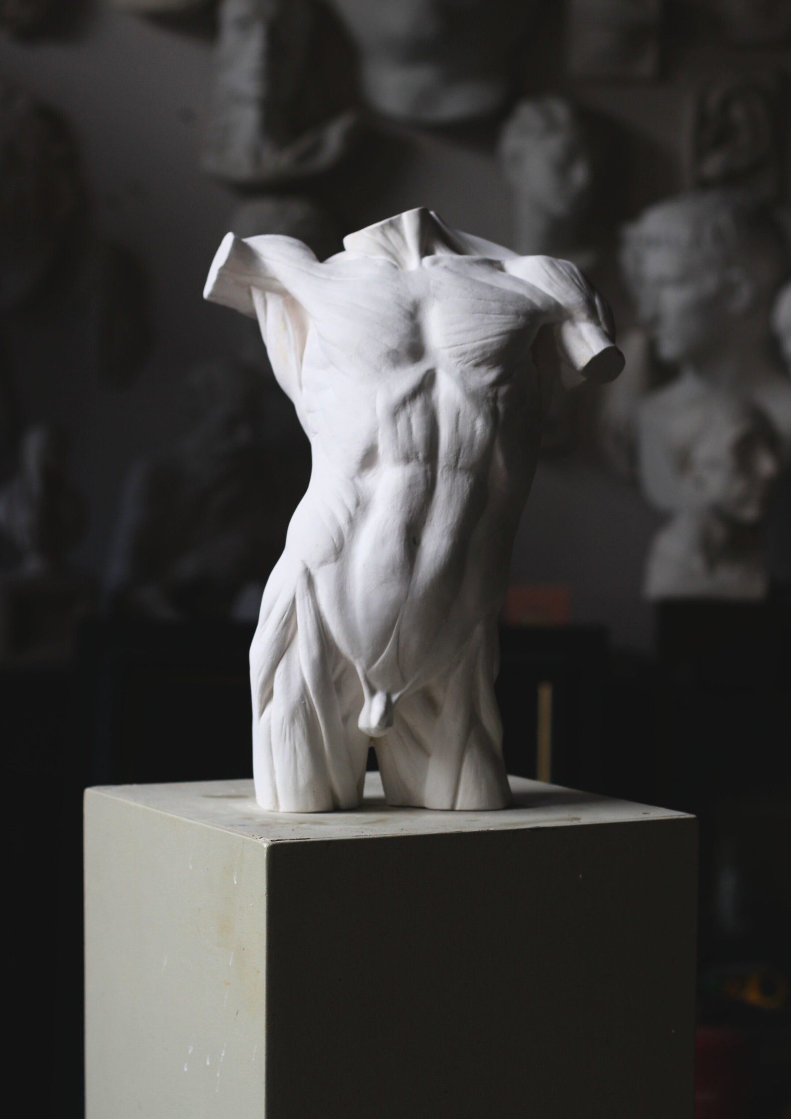 Écorché Male Torso, Plaster Figure Sculpture, Anatomical Drawing Cast ...