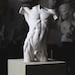 Écorché Male Torso, Plaster Figure Sculpture, Anatomical Drawing Cast ...