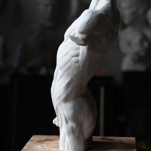 Écorché Male Torso, Plaster Figure Sculpture, Anatomical Drawing Cast ...