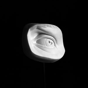 Plaster Cast of Michelangelo's David, Eye Sculpture. Male Sculpture ...