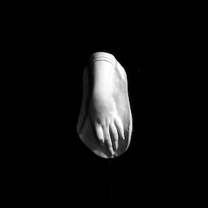 Female Hand Plaster Cast, Elegant White Human Body Part Sculpture ...