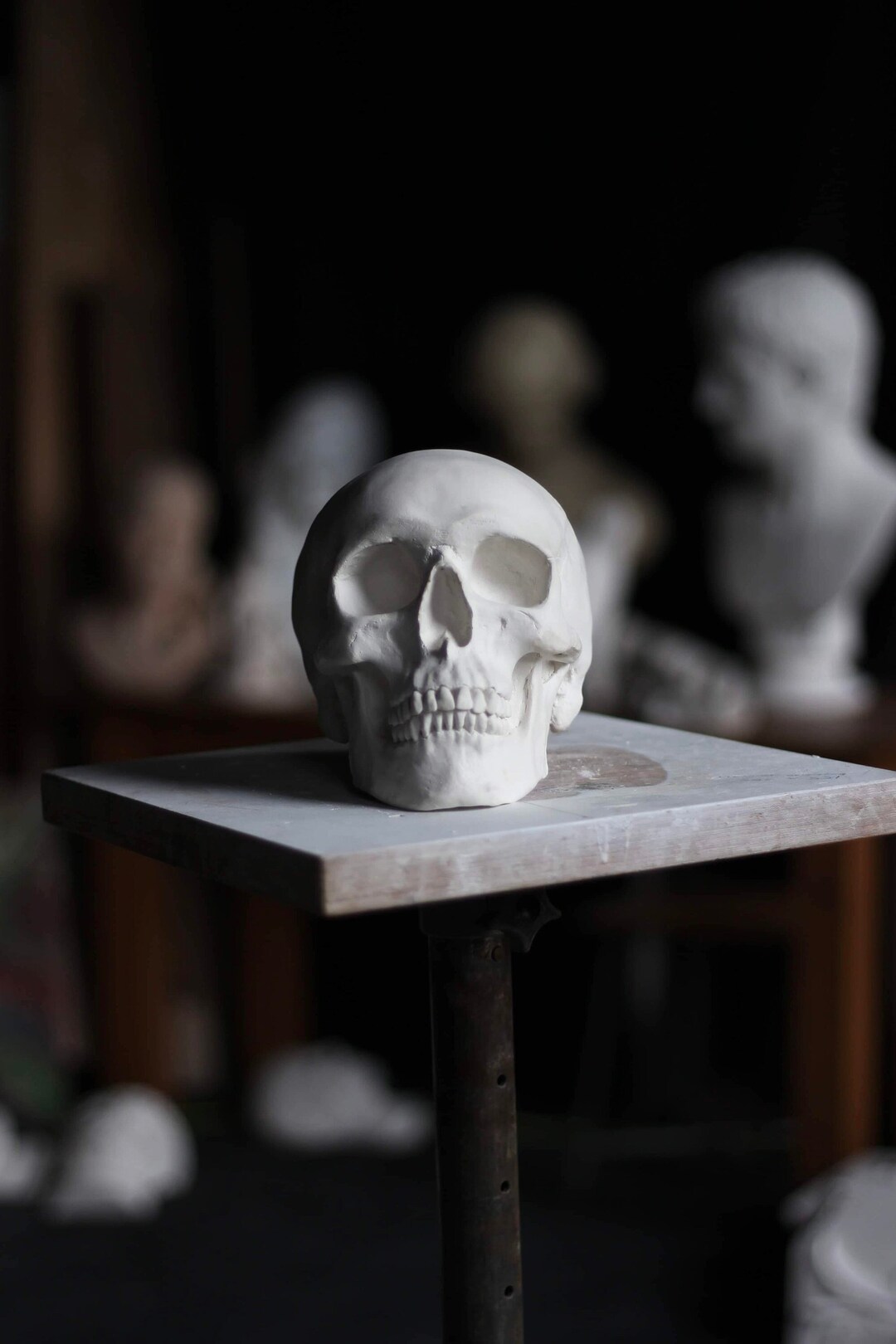 Human Skull Plaster Cast, Anatomy Macabre Skull Sculpture, Perfect for ...