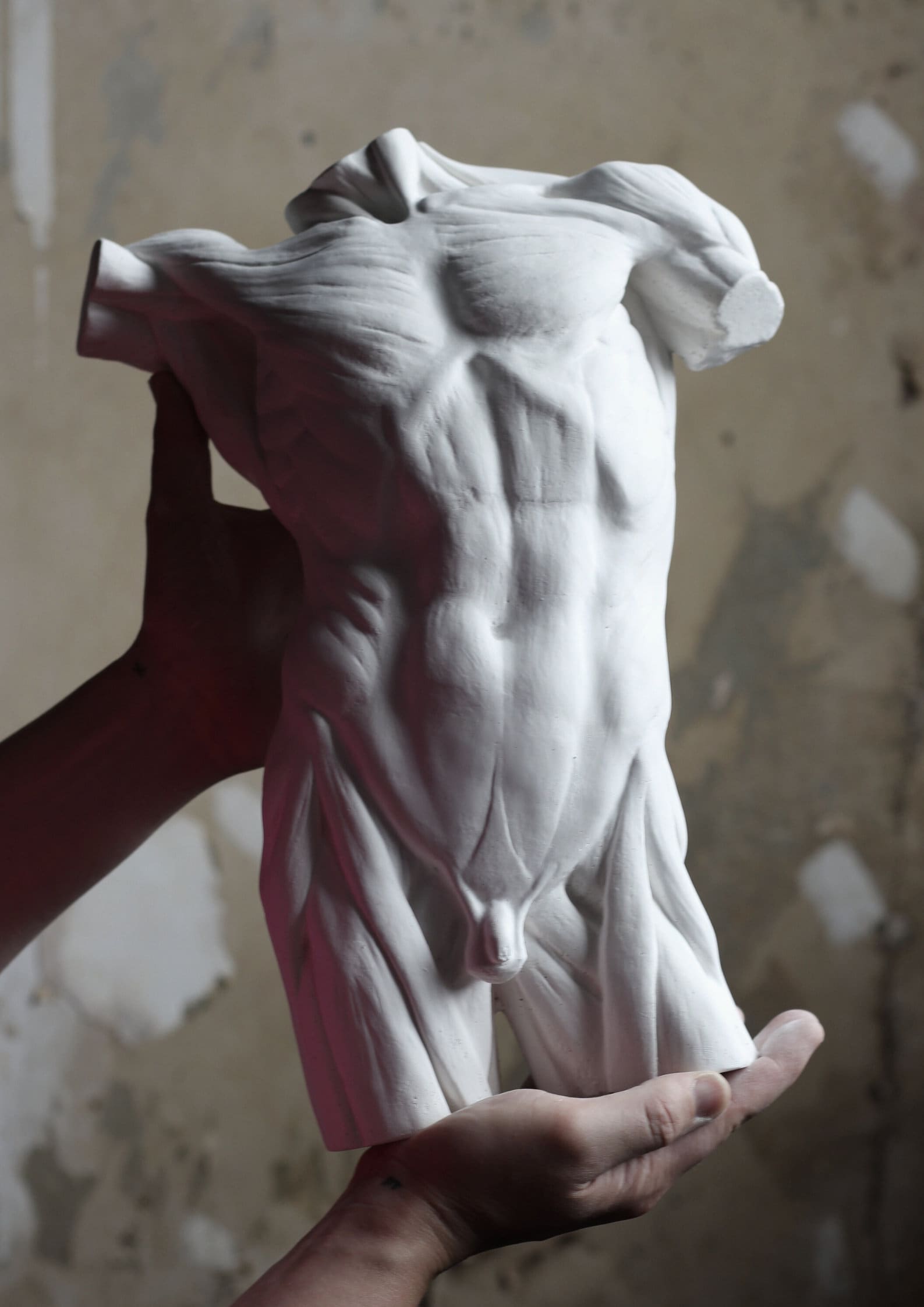 Écorché Male Torso, Plaster Figure Sculpture, Anatomical Drawing Cast ...