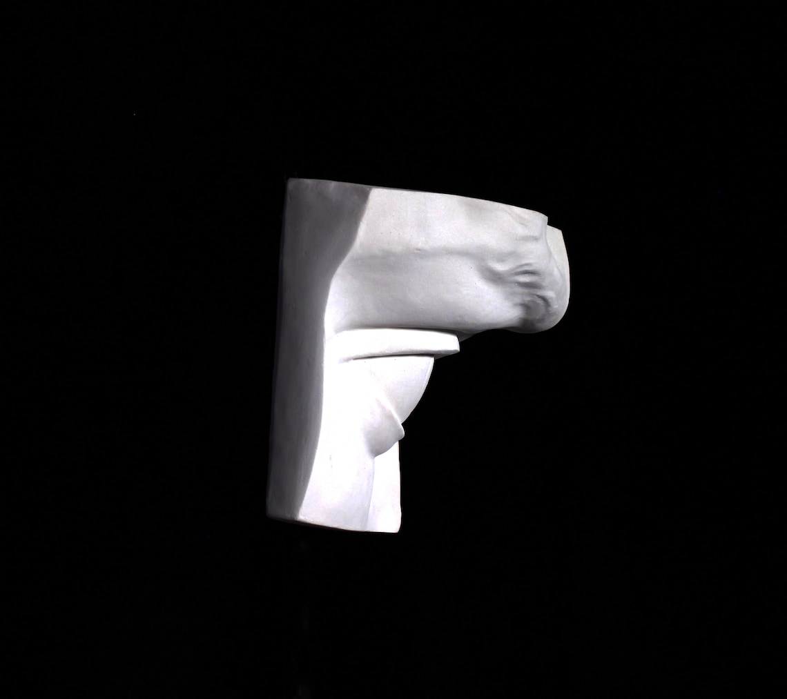 Plaster Cast of Michelangelo's David Eye Sculpture. Male - Etsy