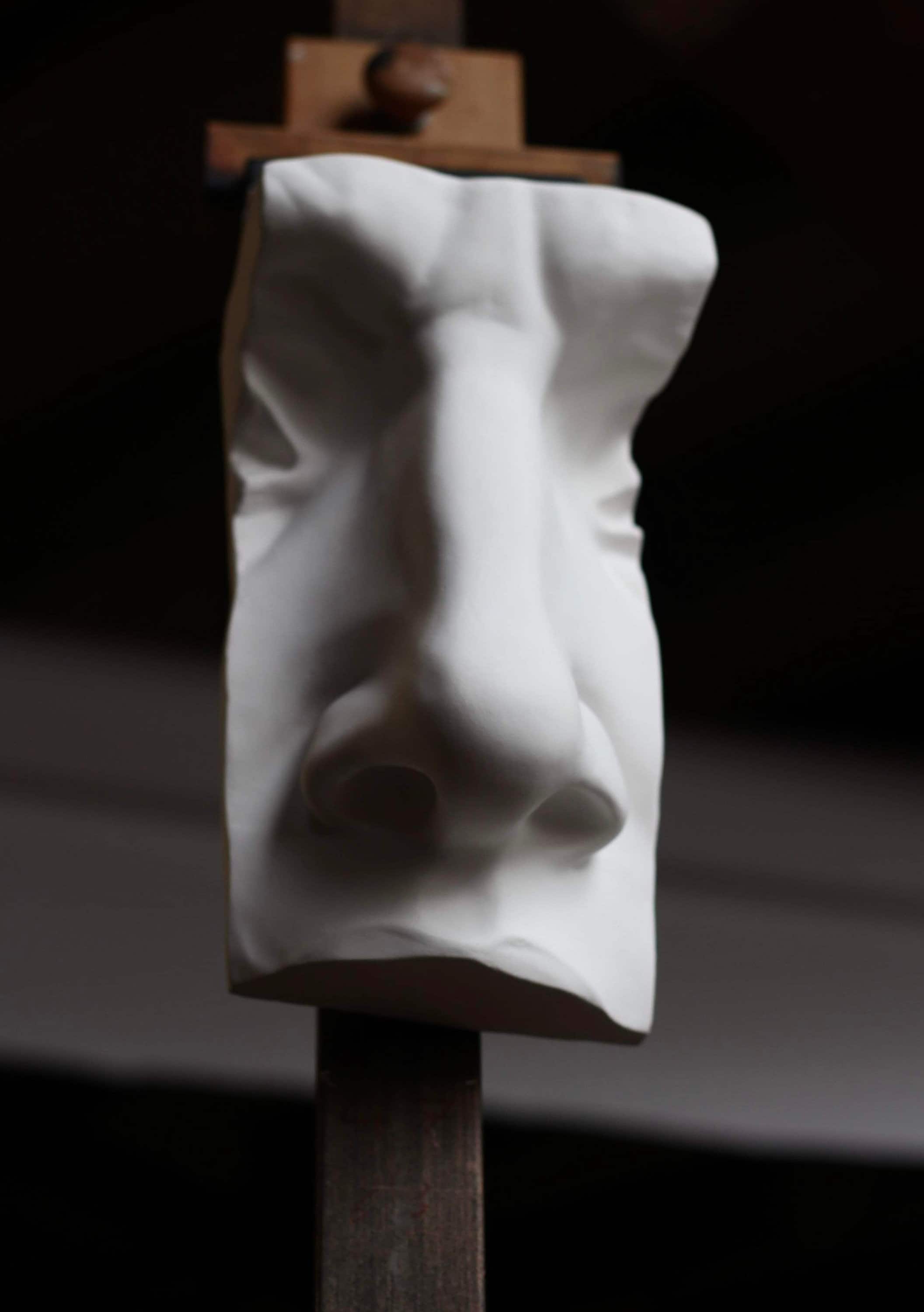Plaster Cast of Michelangelo's David's Nose, Handmade Plaster Wall ...