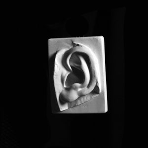 Plaster Cast of David's Ear, Michelangelo Ear Sculpture, White ...