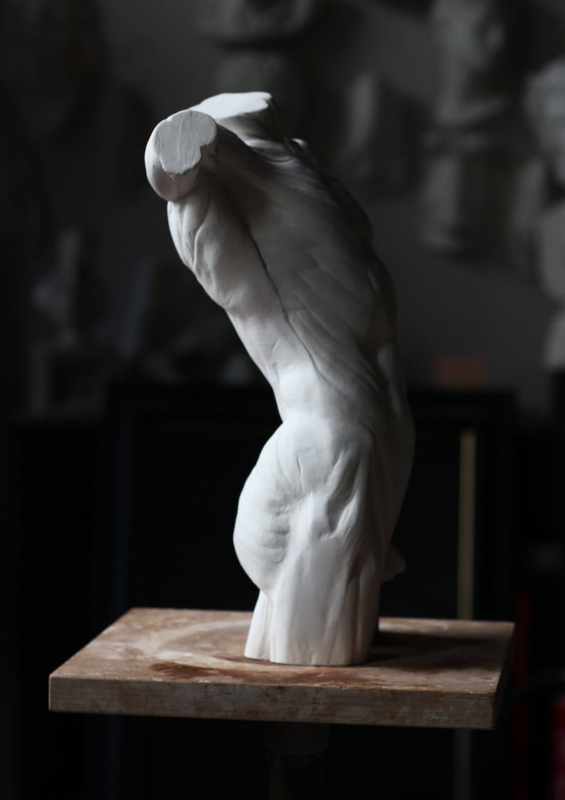 Écorché Male Torso, Plaster Figure Sculpture, Anatomical Drawing Cast ...