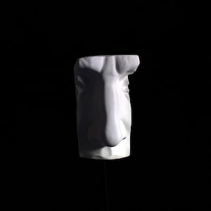 Plaster Cast of Michelangelo's David's Nose, Handmade Plaster Wall ...