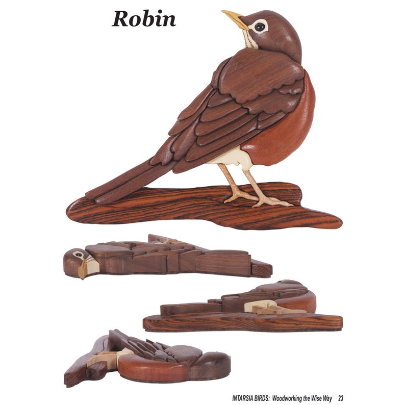 Intarsia Birds: Woodworking the Wise Way - Etsy