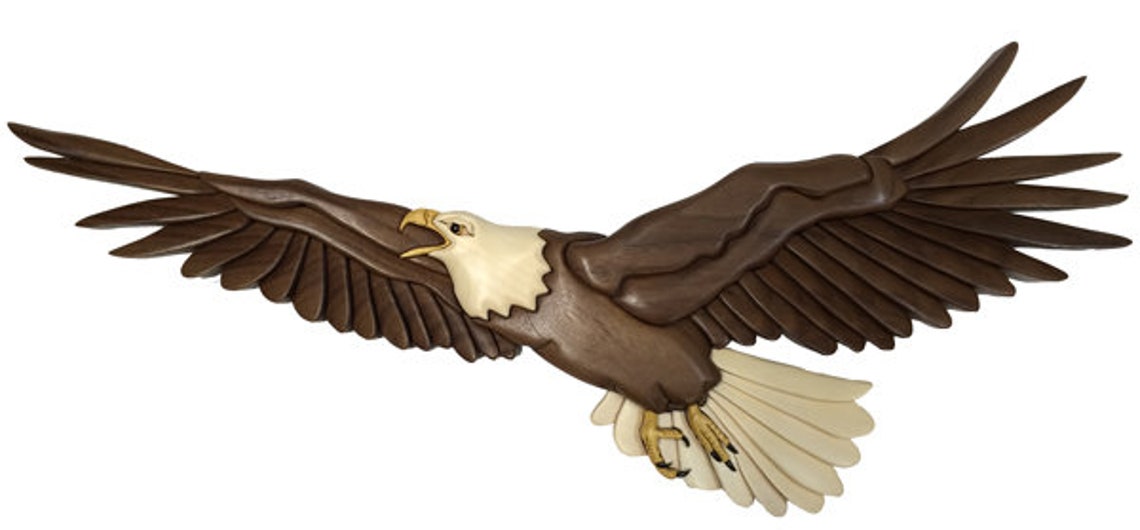 Flying Eagle PDF Download Intarsia Pattern - Etsy