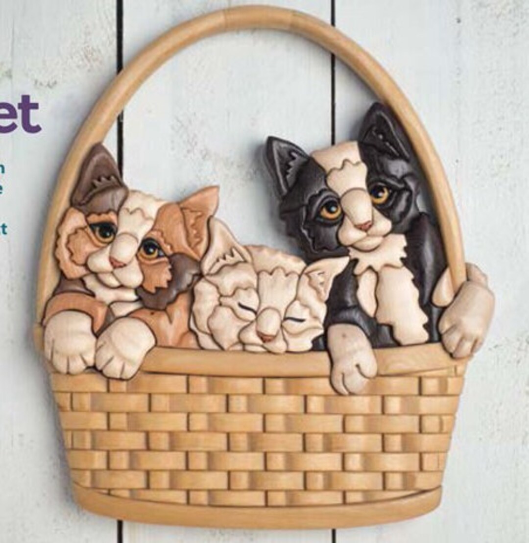 Kitty Basket PDF Intarsia Pattern Download - Etsy