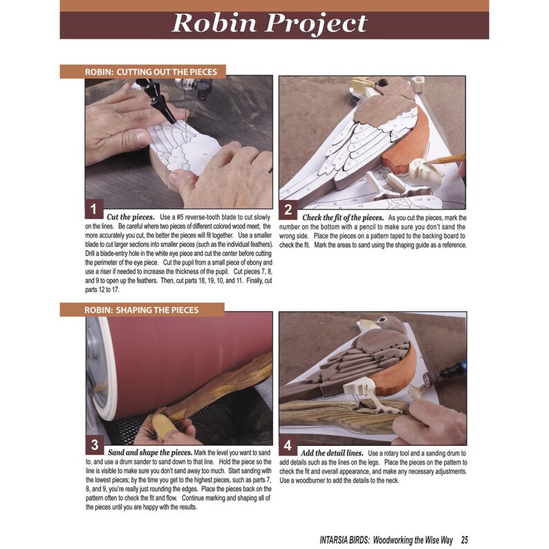 Intarsia Birds: Woodworking the Wise Way - Etsy