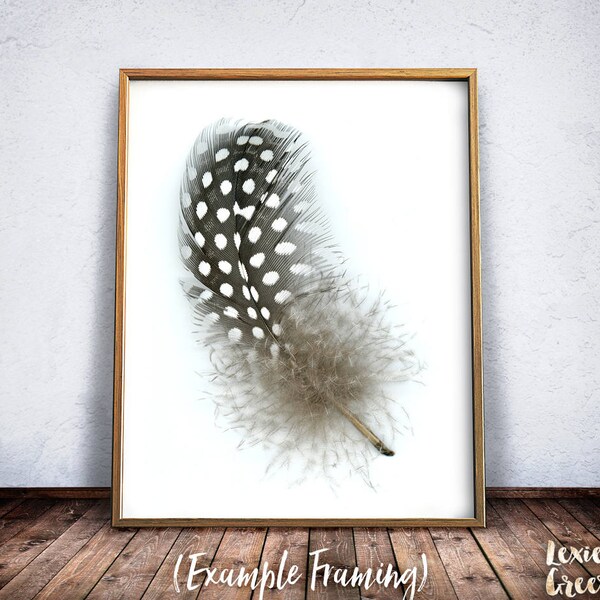 Feather Print - Etsy