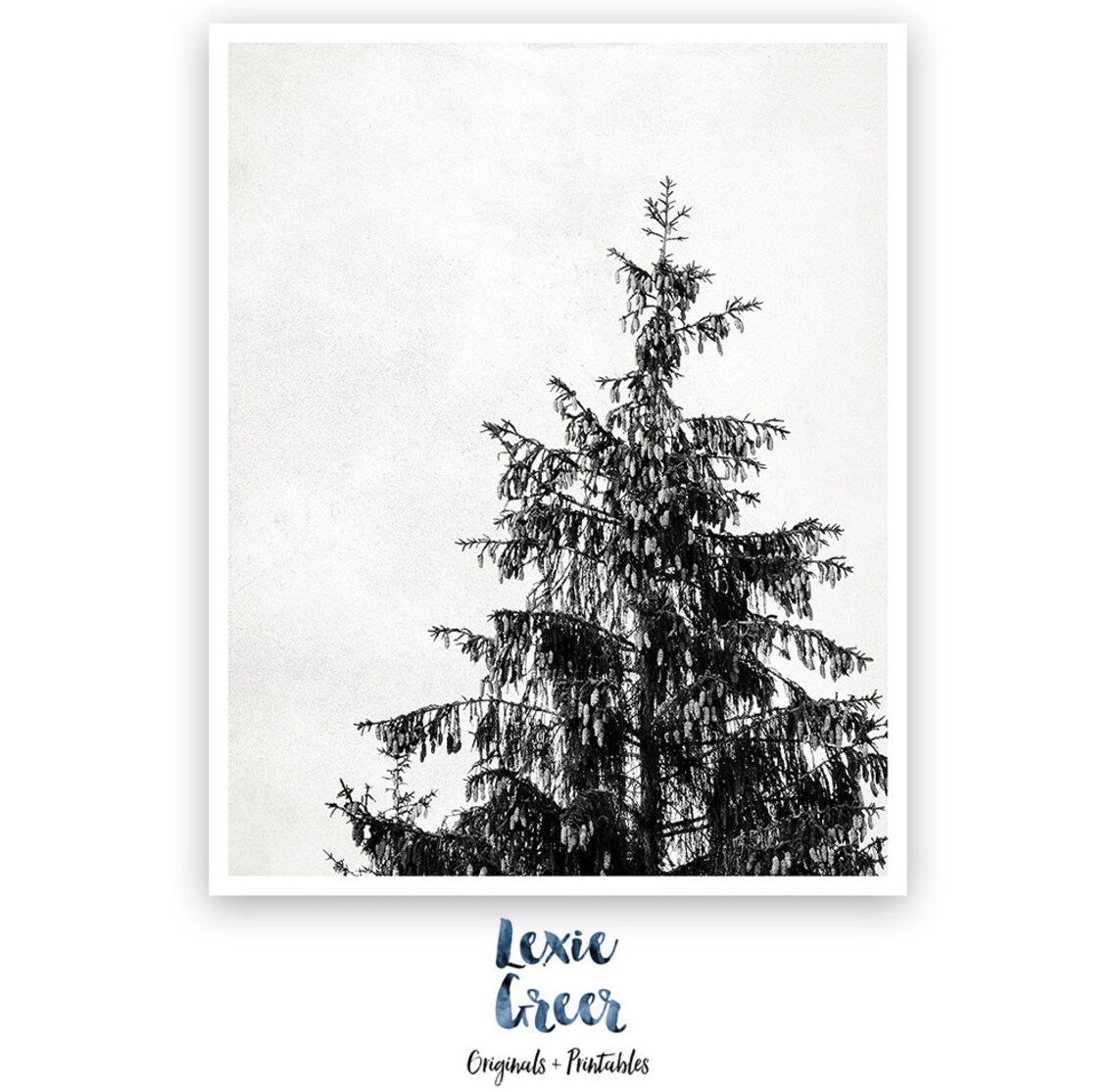 Scandinavian Art Tree Print Black and White Print Tree - Etsy