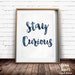 Stay Curious Quote Print Stay Curious Quote Stay Curious | Etsy