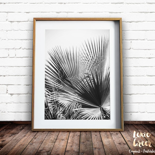 Palm Tree Print Black And White Palm Tree Tropical Print Palm Leaves