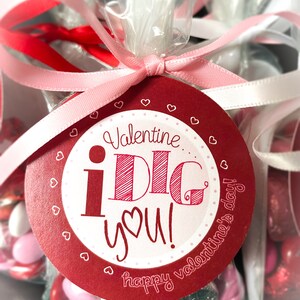 I Dig You Valentines Tags With Ribbons, Valentine's Day Tag, Kids ...