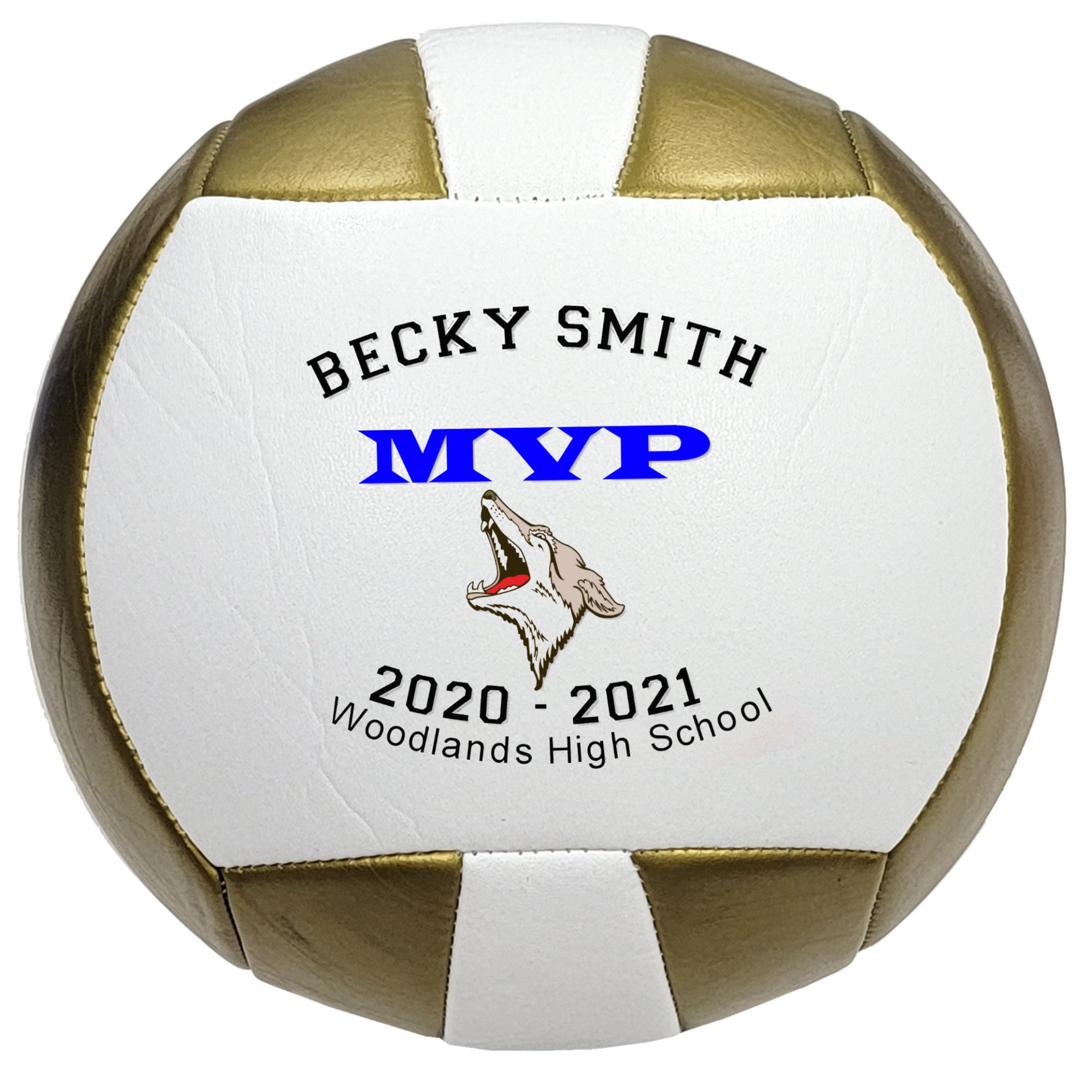 Custom Photo Volleyball - Full Regulation Size - 2 Sided Printing ...