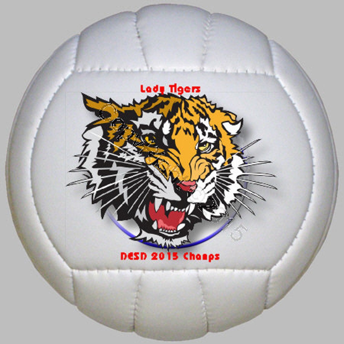 Custom Photo Volleyball Full Regulation Size See Details - Etsy