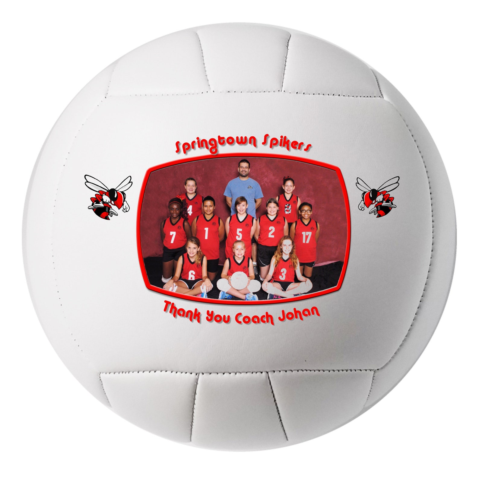 Custom Photo Volleyball - Full Regulation Size - See Details - Etsy