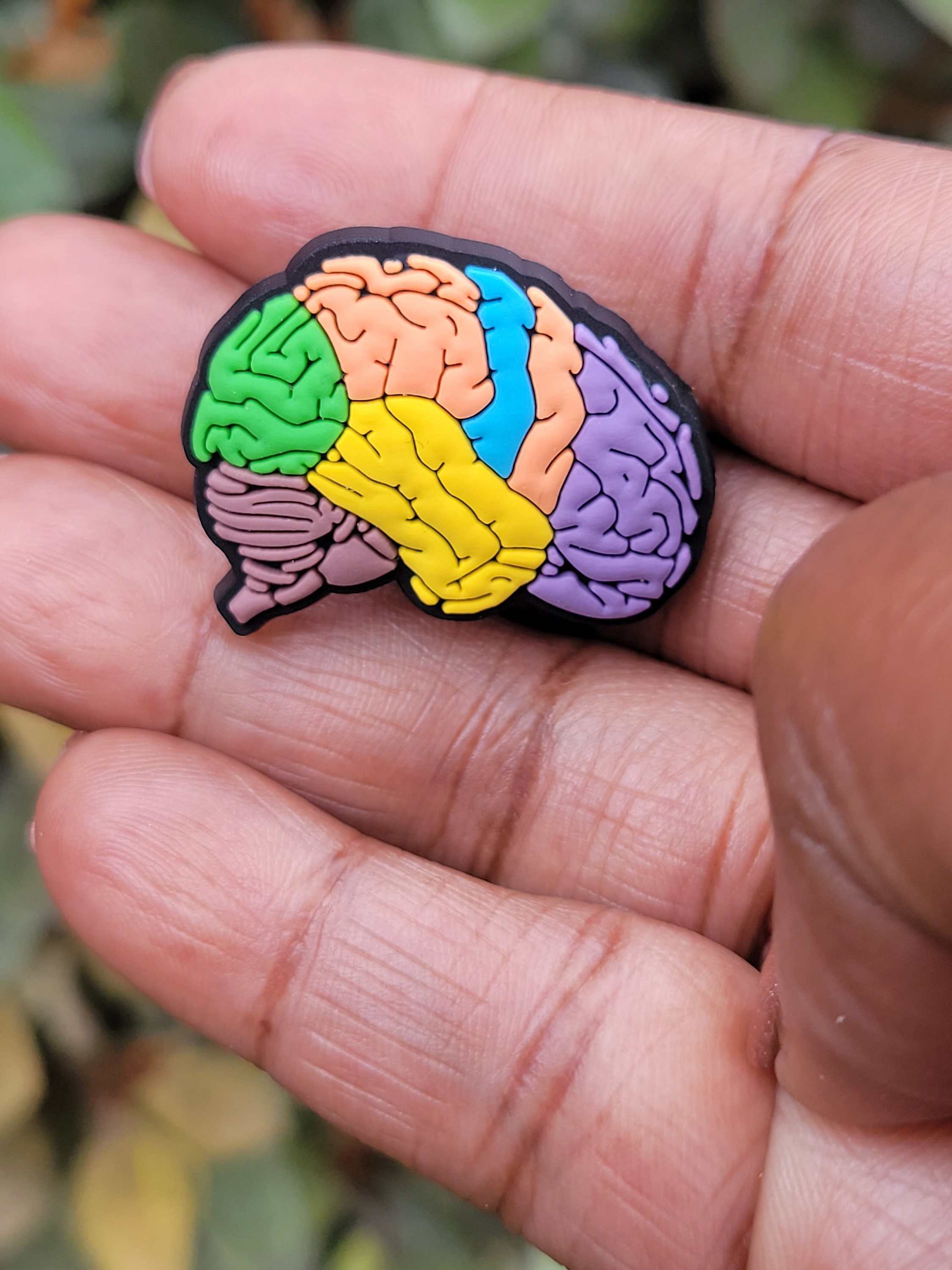 Brain Anatomy Retractable Badge Reels, Anatomical Mind ID Holder ...