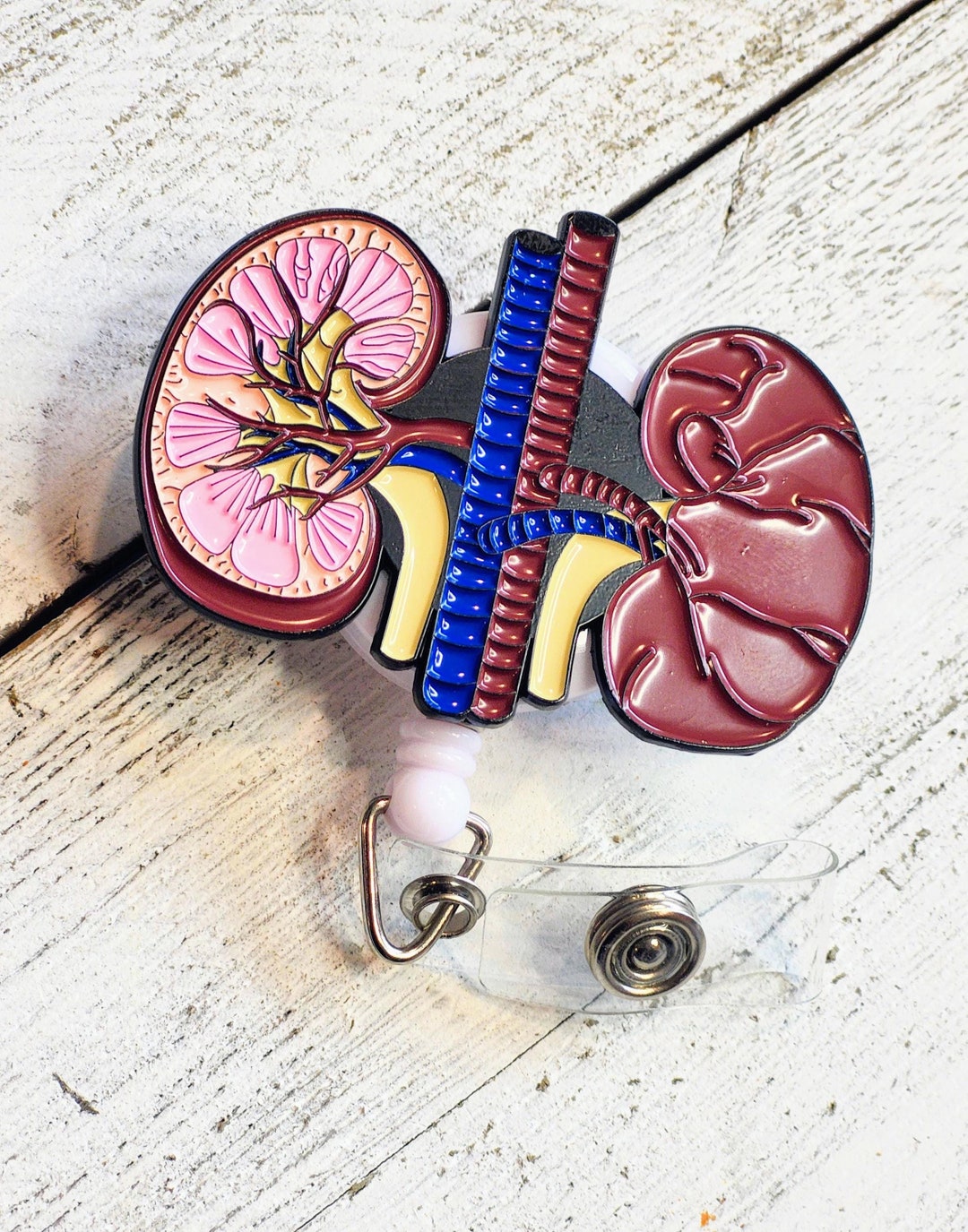 Anatomical Kidney Professional Custom ID Holder Badge Reels - Etsy