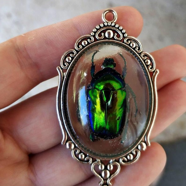 Real Scarab - Etsy