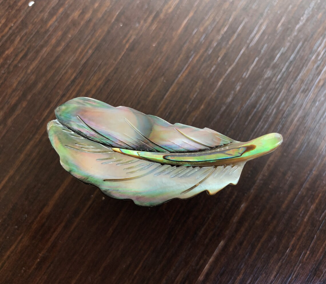 Feather Natural Shell Drawer Knobs / Furniture Knobs With Rope | Etsy