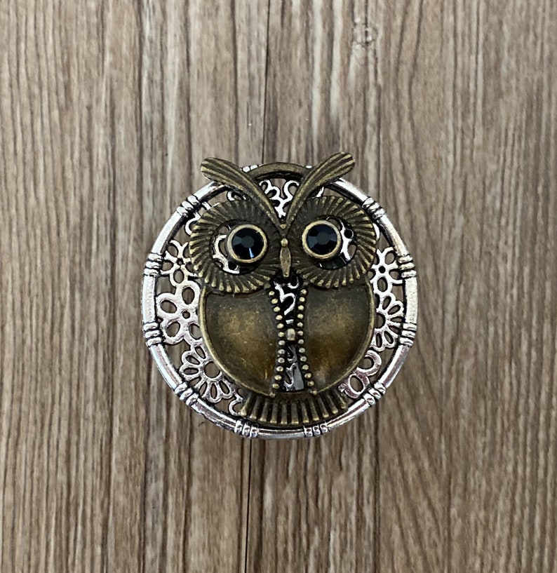 Silver Owl Drawer Knobs / Owl Cabinet / Gothic Home Decor / Animal ...