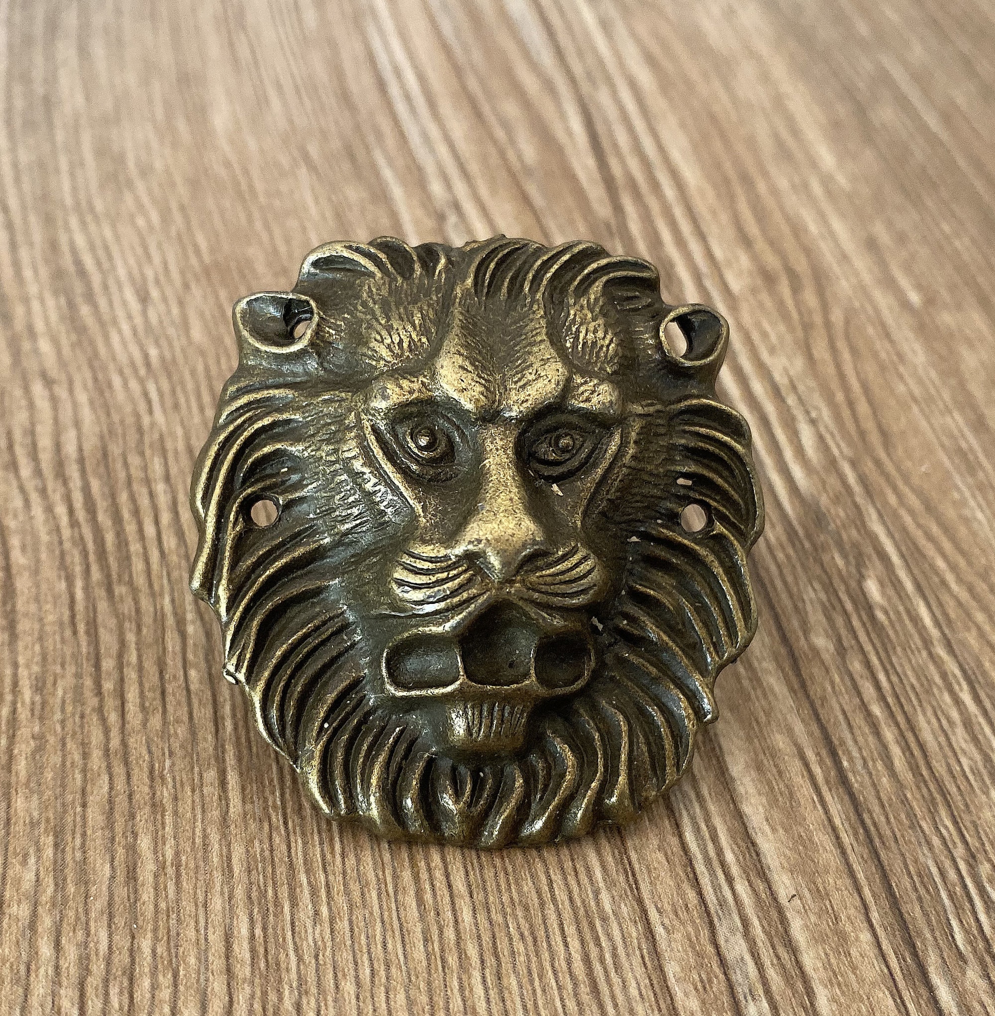 Brass Lion Drawer Knobs / Lion Cabinet / Gothic Home Decor / | Etsy