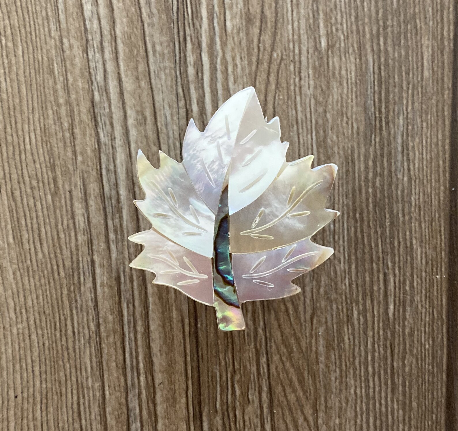 Leaf Natural Shell Drawer Knobs / Furniture Knobs With Rope - Etsy
