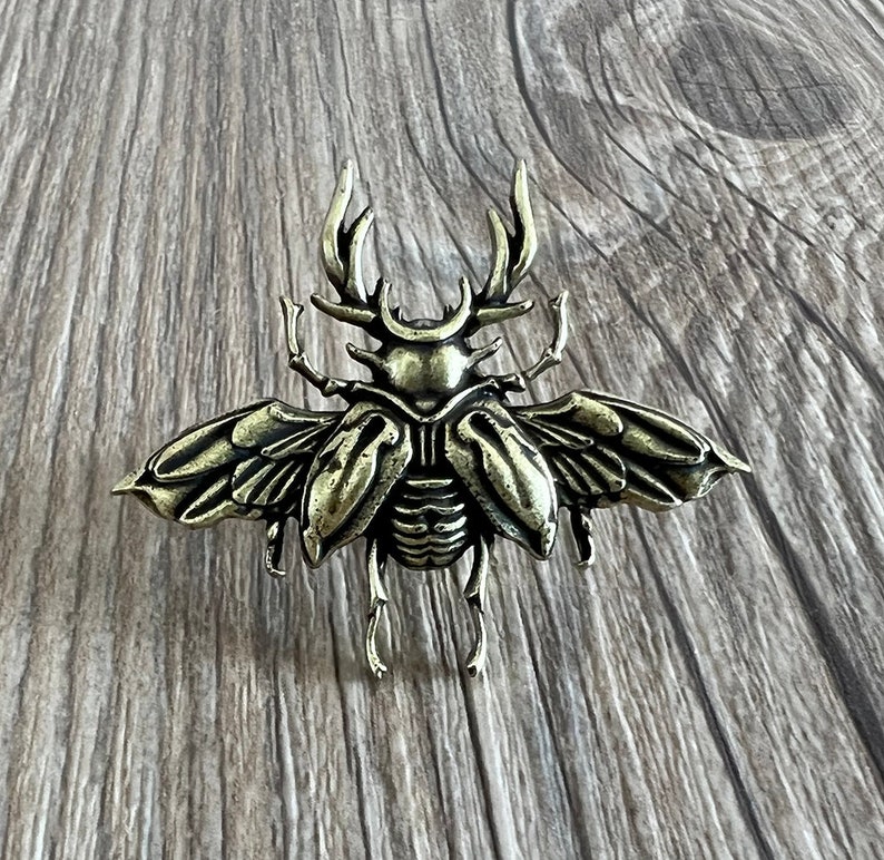 Beetles Drawer Knobs / Beetles Cabinet / Gothic Home Decor / Animal ...