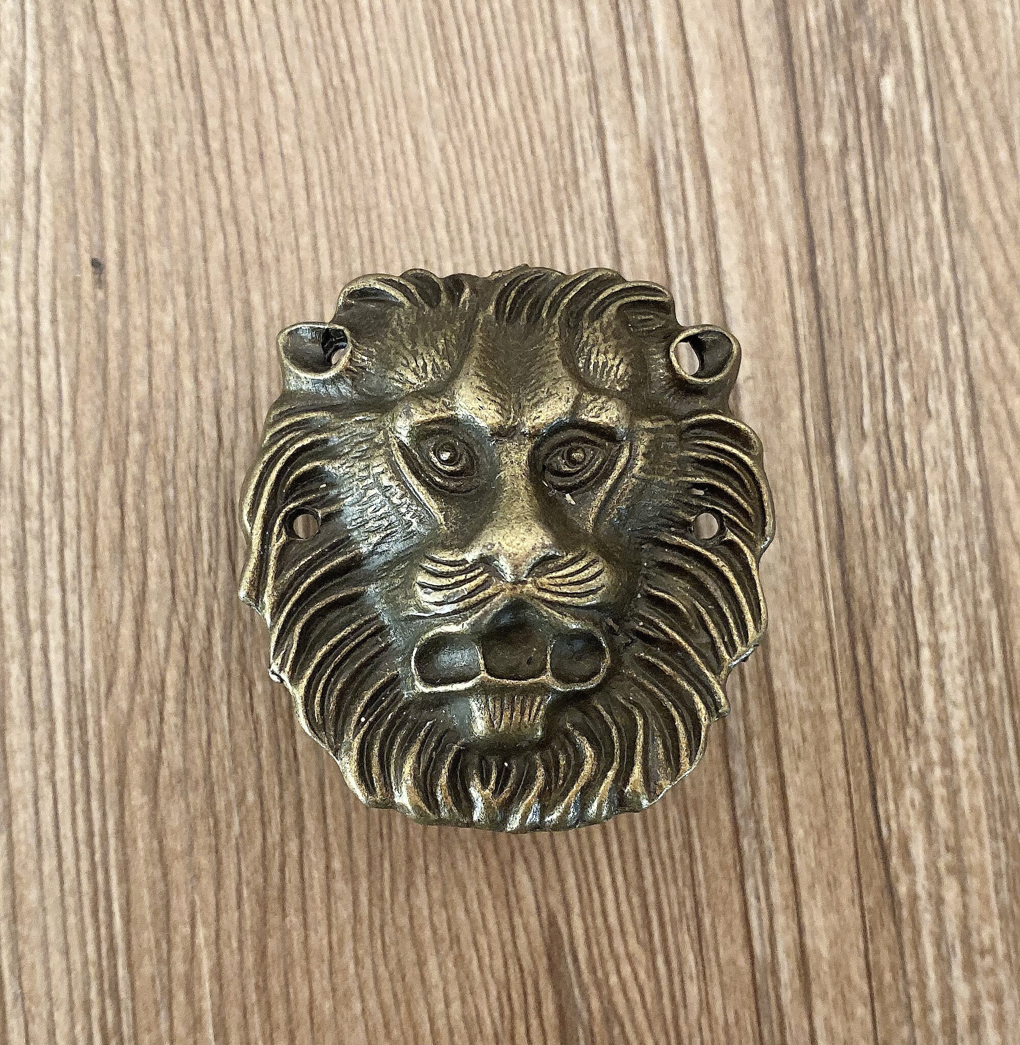 Brass Lion Drawer Knobs / Lion Cabinet / Gothic Home Decor / | Etsy