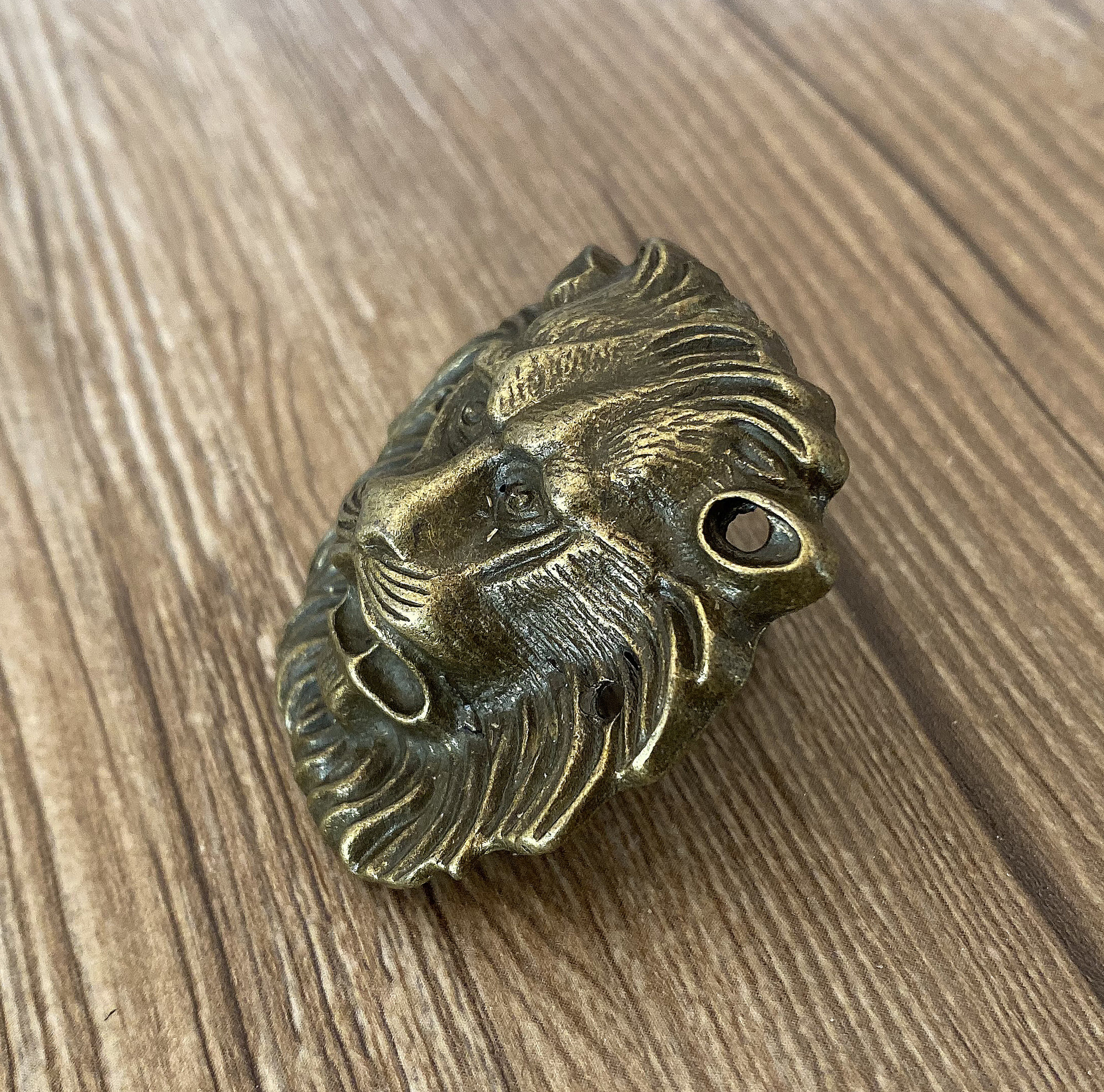 Brass Lion Drawer Knobs / Lion Cabinet / Gothic Home Decor / | Etsy