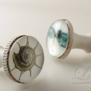 Antique Knobs Drawer Knob Dresser Knobs Ceramic Knobs / Kitchen Cabinet Knobs Pull Handle ...