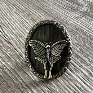 Moth Drawer Knobs /butterfly Cabinet / Gothic Home Decor / Animal ...