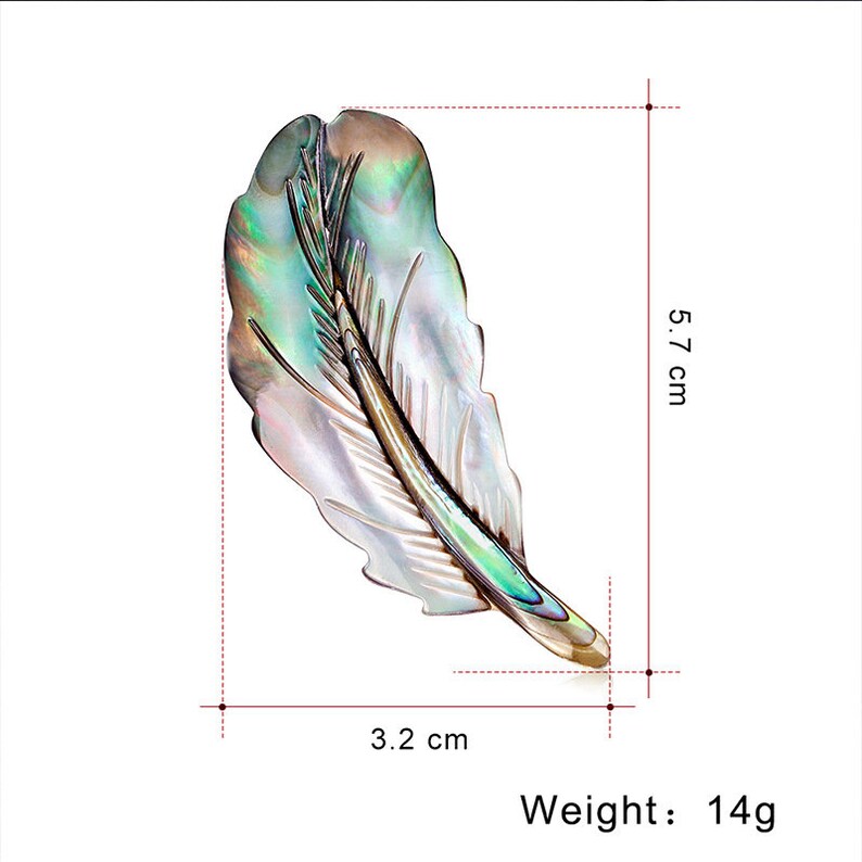 Feather Natural Shell Drawer Knobs / Furniture Knobs With Rope - Etsy