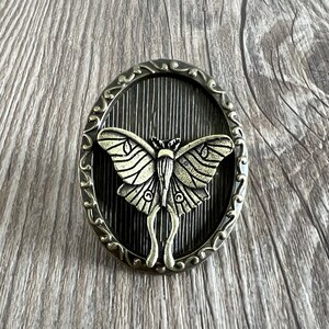 Moth Drawer Knobs /butterfly Cabinet / Gothic Home Decor / Animal ...